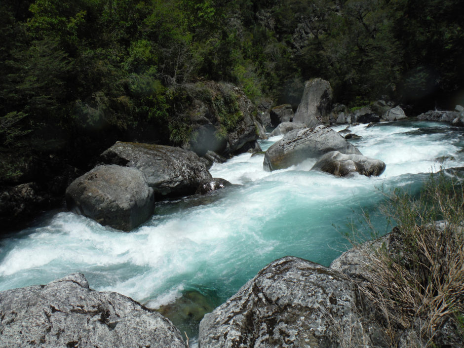 Río Renaico – Rivers of Chile